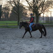 "Ekenhoff" in Esens - Unterkunft buchen