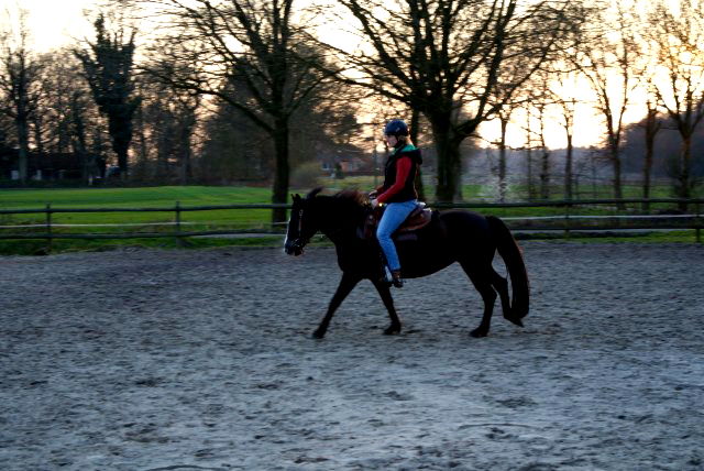 "Ekenhoff" in Esens - Unterkunft buchen