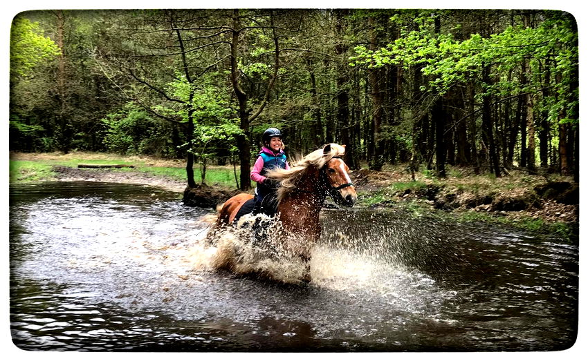 "Ekenhoff" in Esens - Unterkunft buchen