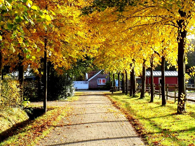 "Ekenhoff" in Esens - Unterkunft buchen
