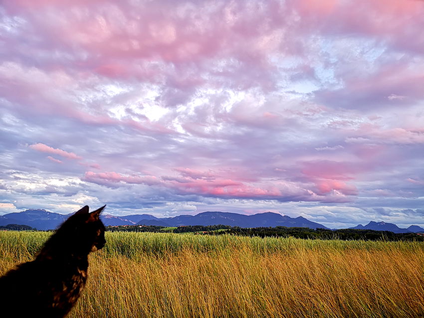 Ferienparadies Reifnhof: Ihr Kreativhof im Chiemgau - Simssee in ...
