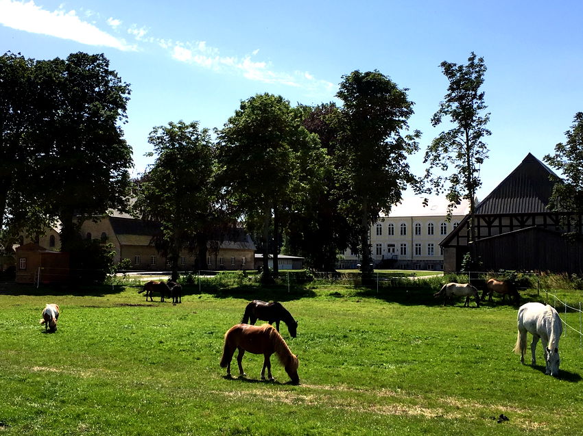 LandSelection Gut Oestergaard in Steinberg - Unterkunft buchen